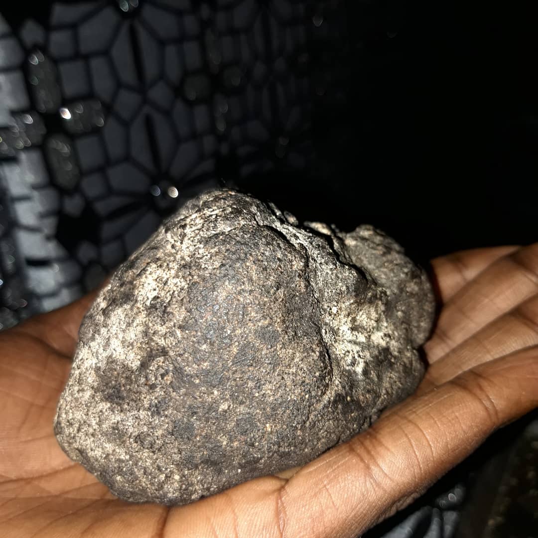 Gallery - Ambergris Hunter